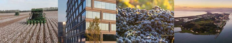 About Us – Lawrence Family